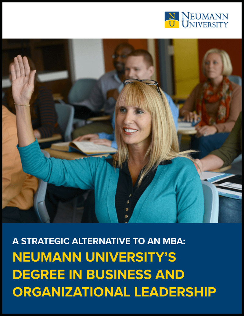 Types of Business Degrees to Consider (Alternative to MBA Degree)